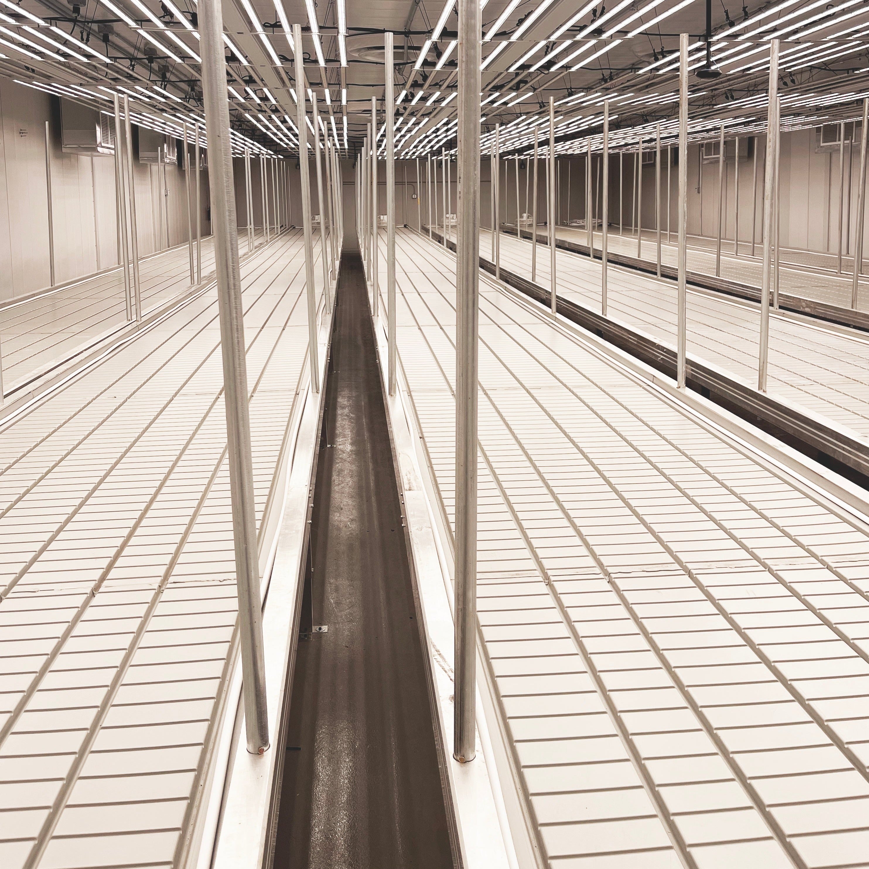 4' Wide Rolling Bench - 1'-1.5' Height – Hortitech Direct