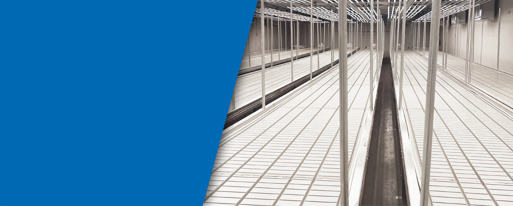 Rolling benches – Hortitech Direct